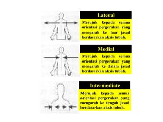 Anatomy Musculoskeletal (pengenalan satah) | PPSX