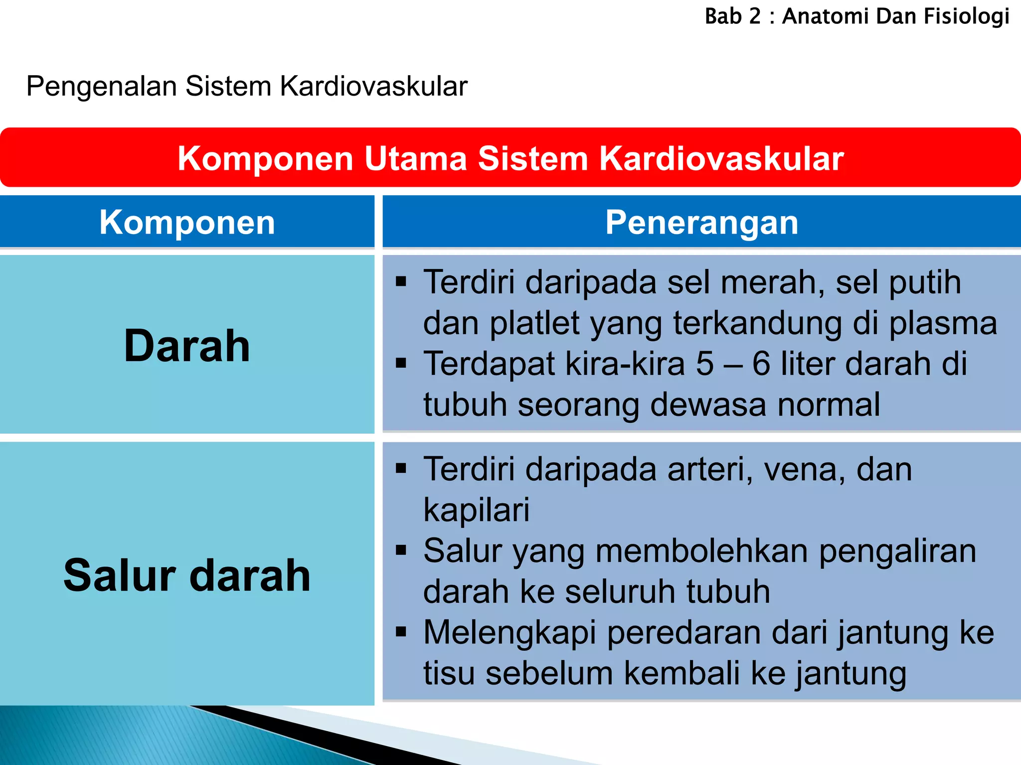 1 pengenalan sistem kardiovaskular | PDF