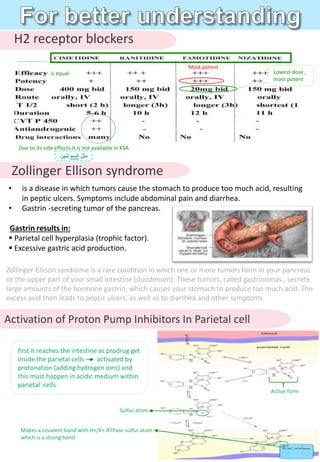 Zollingerellison Syndrome Gastrin Gastrinoma Labpedianet