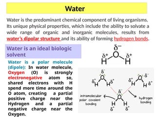 1- pH and acid base balance for students.pptx