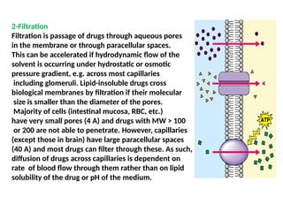 1-Pharmacokinetics (2).pptx1234567890wertyuiop9876543 | PPTX ...