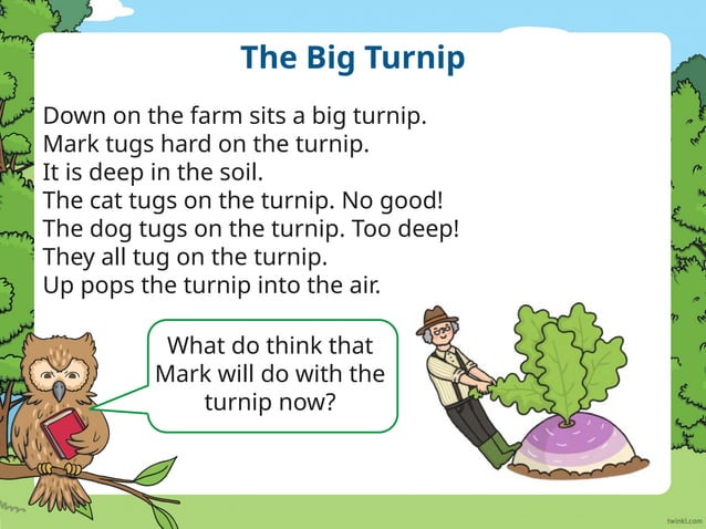 1-Phase-3-Reading-Comprehension-Pack-1-v2.pptx