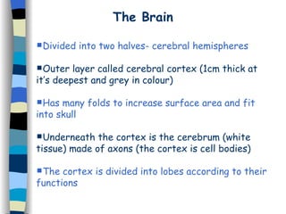 1. Physiology | PPT