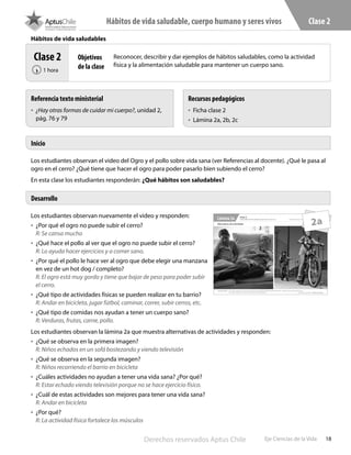1 planificacion-y-cuadernillo habitos saludables | PDF