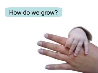 1. Plant Growth | PPT | Gardening | Home & Garden