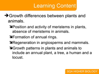 1. Plant Growth | PPT