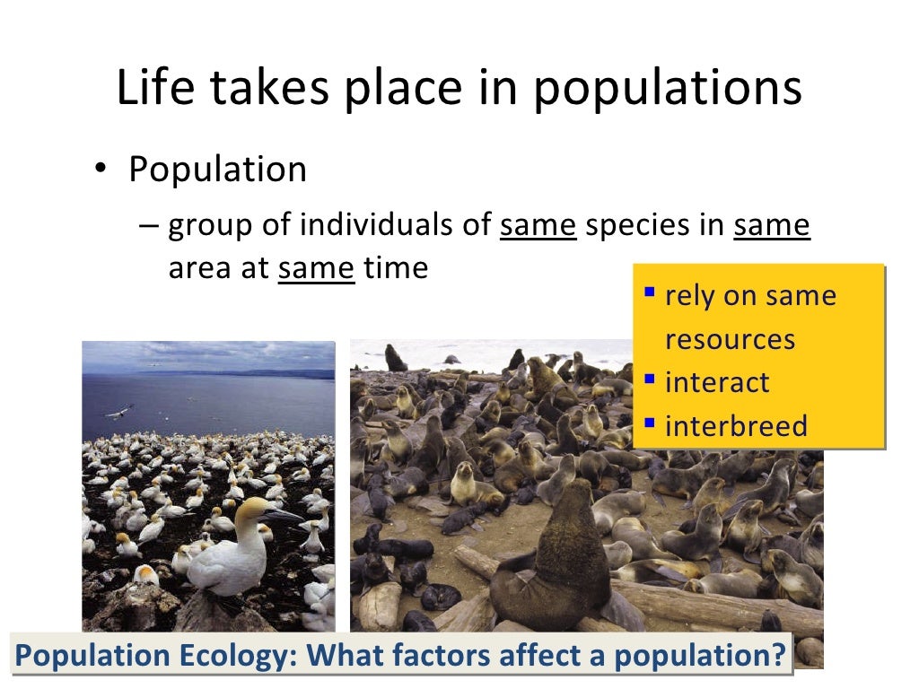 Population Ecology