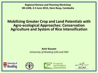 Agro-ecological approach conservation agriculture and SRI - Prof. Amir ...