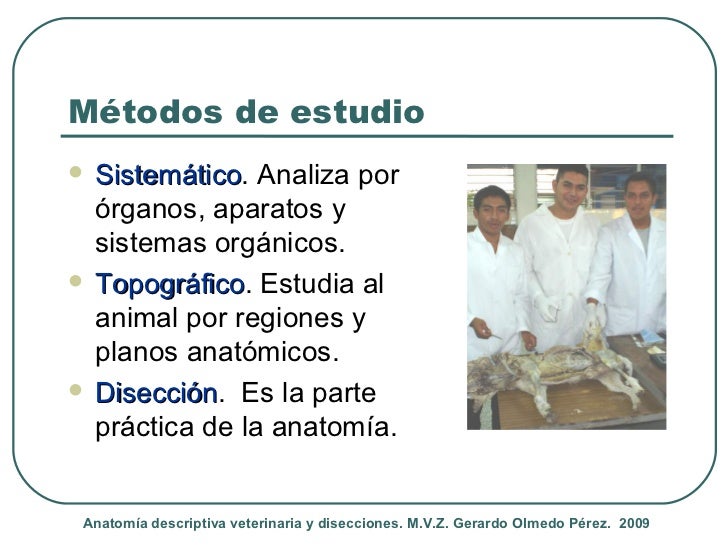 Diapositivas De Anatoma Y Fisiologa Animal Slide Set