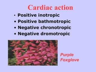 1 - Presentation about clinical pharmacology | PPT