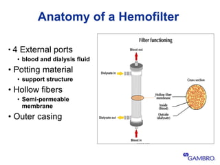 1 prismaflex crrt intro - seg 1 (2007) | PPT