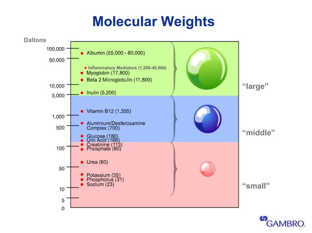 1 prismaflex crrt intro - seg 1 (2007) | PPT