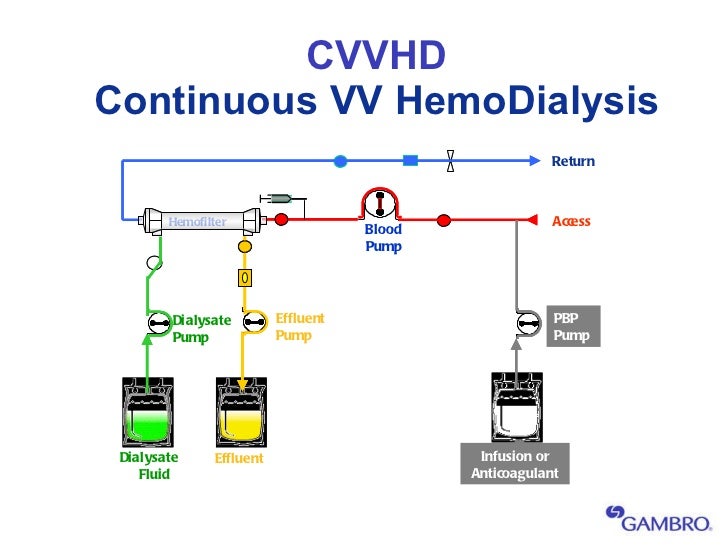 1 prismaflex crrt intro - seg 1 (2007)