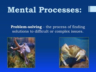 Introduction to Psychology | PPTX