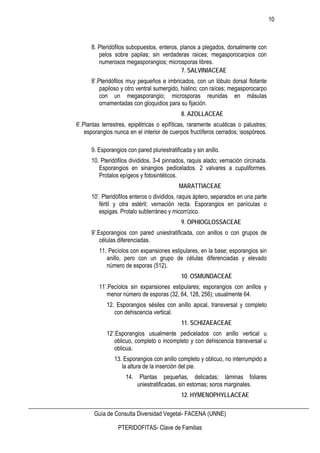 1 pteridofitas | PDF