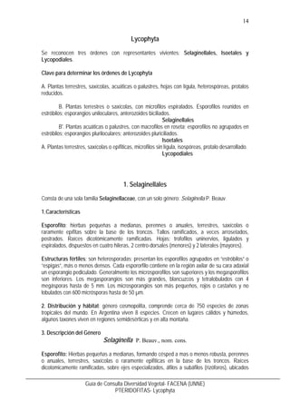 1 pteridofitas | PDF