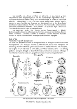 1 pteridofitas | PDF