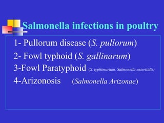 1-Pullorum disease 2021.avian-diseaseppt | PPT