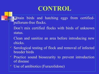 1-Pullorum disease 2021.avian-diseaseppt | PPT