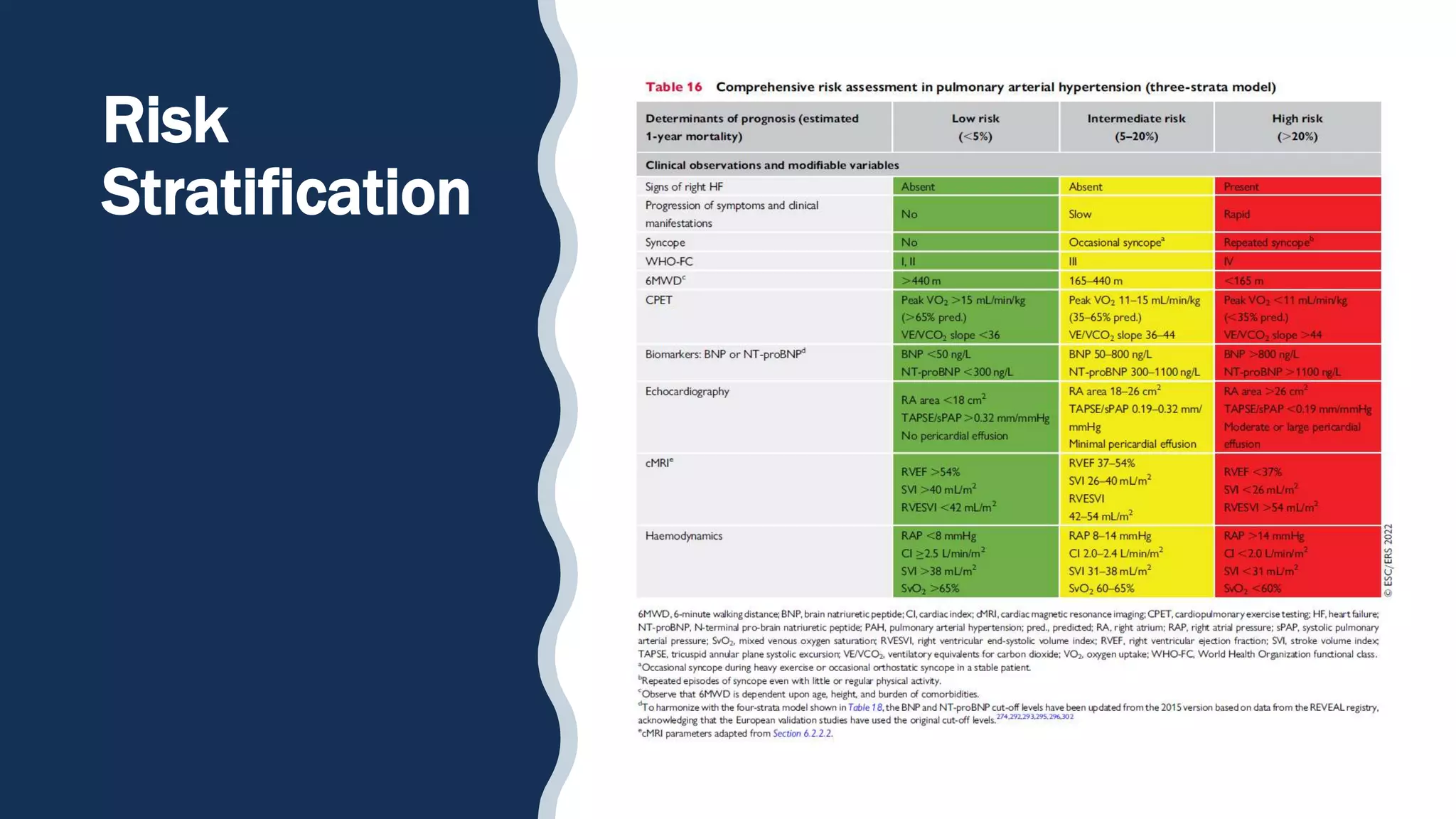 Pulmonary Hypertension Overview 2022.pptx