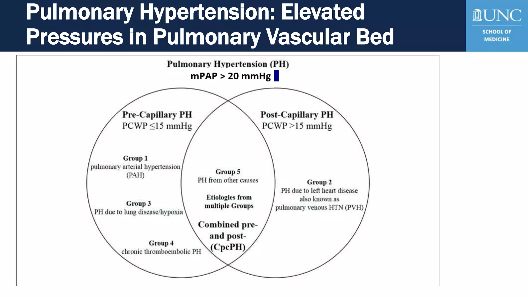 Pulmonary Hypertension Overview 2022.pptx