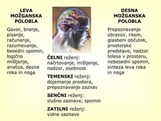 1 Radonjic, Plesec | PPT