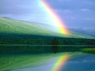 1 r angiin hun amidraliin orchin | PPT