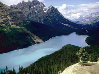 1 r angiin hun amidraliin orchin | PPT