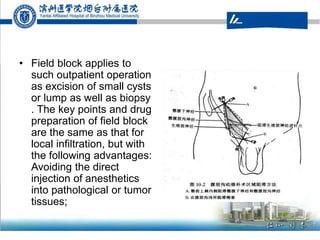 Reginal Block Anesthesia-anesthesia topic | PPT
