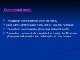 1- renal function tests.pptxgggggggggggg | PPTX