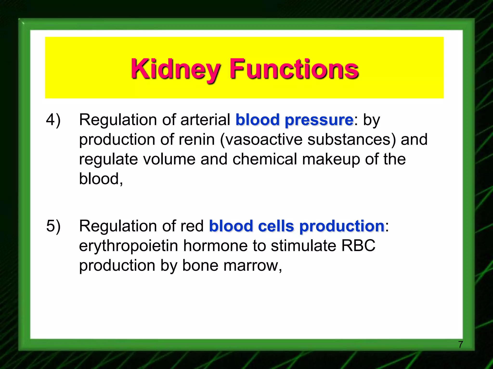 1-Renal Physiology 1 (Renal Functions & Basic Concepts).ppt