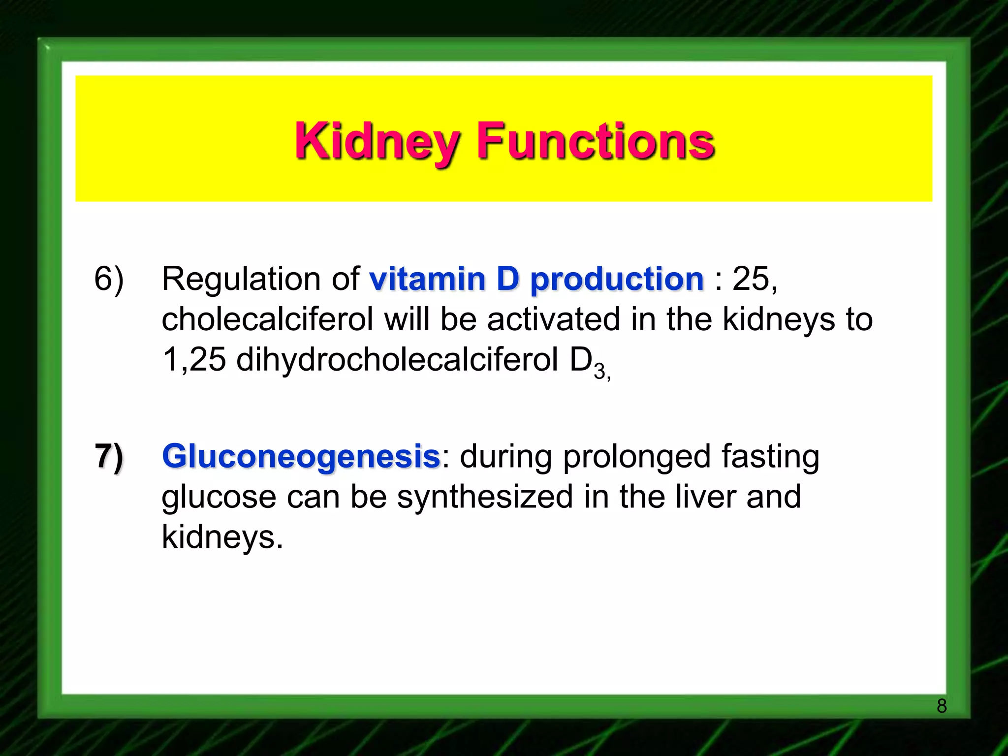 1-Renal Physiology 1 (Renal Functions & Basic Concepts).ppt