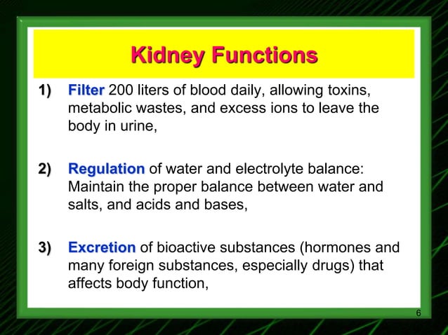 1-Renal Physiology 1 (Renal Functions & Basic Concepts).ppt