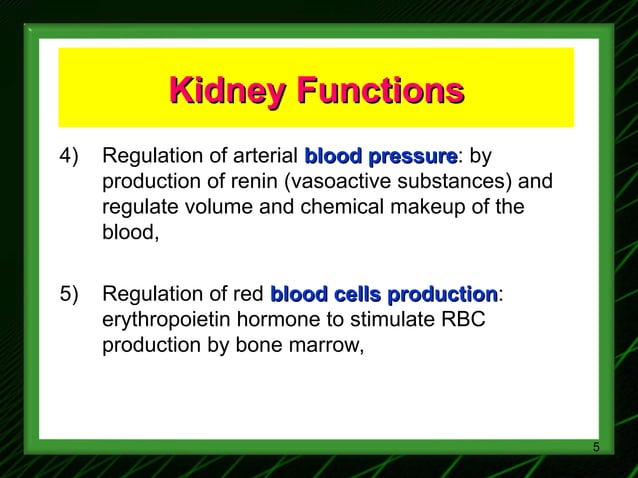 1-Renal Physiology 1 (Renal Functions & Basic Concepts).ppt