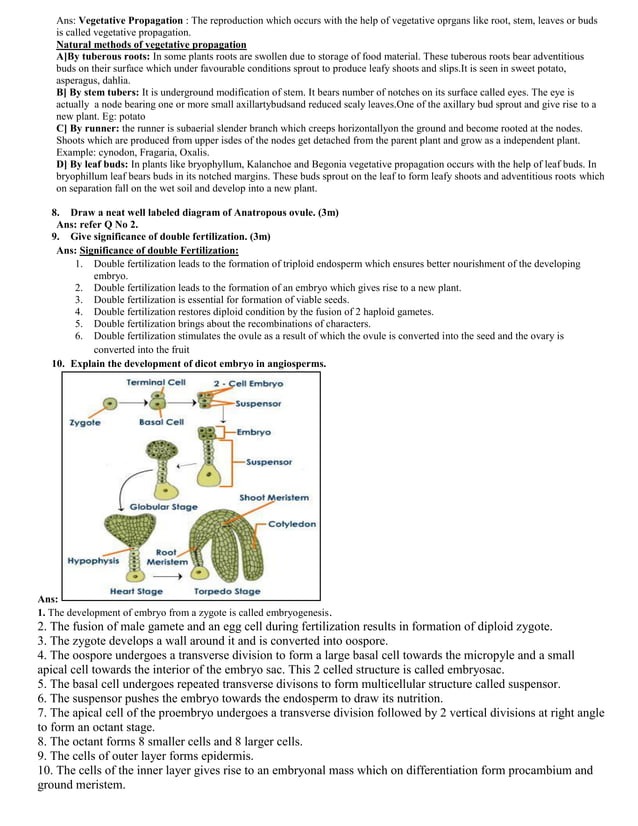 1-reproduction-in-plants-assignment-notes.pdf