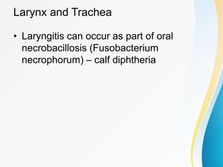 Veterinary Pathology of Respiratory System | PPT