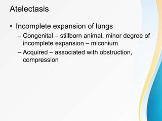 Veterinary Pathology of Respiratory System | PPT