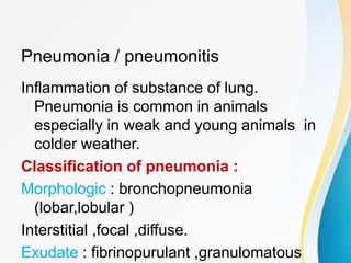 Veterinary Pathology of Respiratory System | PPT