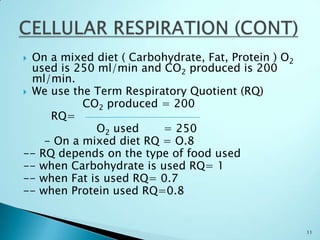 1. respiratory system | PPTX