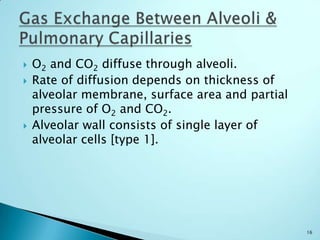 1. respiratory system | PPTX