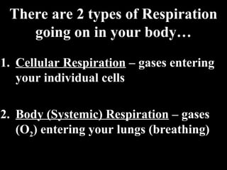1 - Respiratory System regents powerpoint | PPT