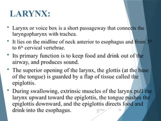 1-Anatomy and physiology of RESPIRATORY SYSTEM.pptx