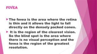 1-RETINAL-DETACHMENT (1).pptx perception in nursing | PPTX