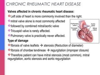 CVS Pathology 1 - Rheumatic heart disease, infective endocarditis and ...