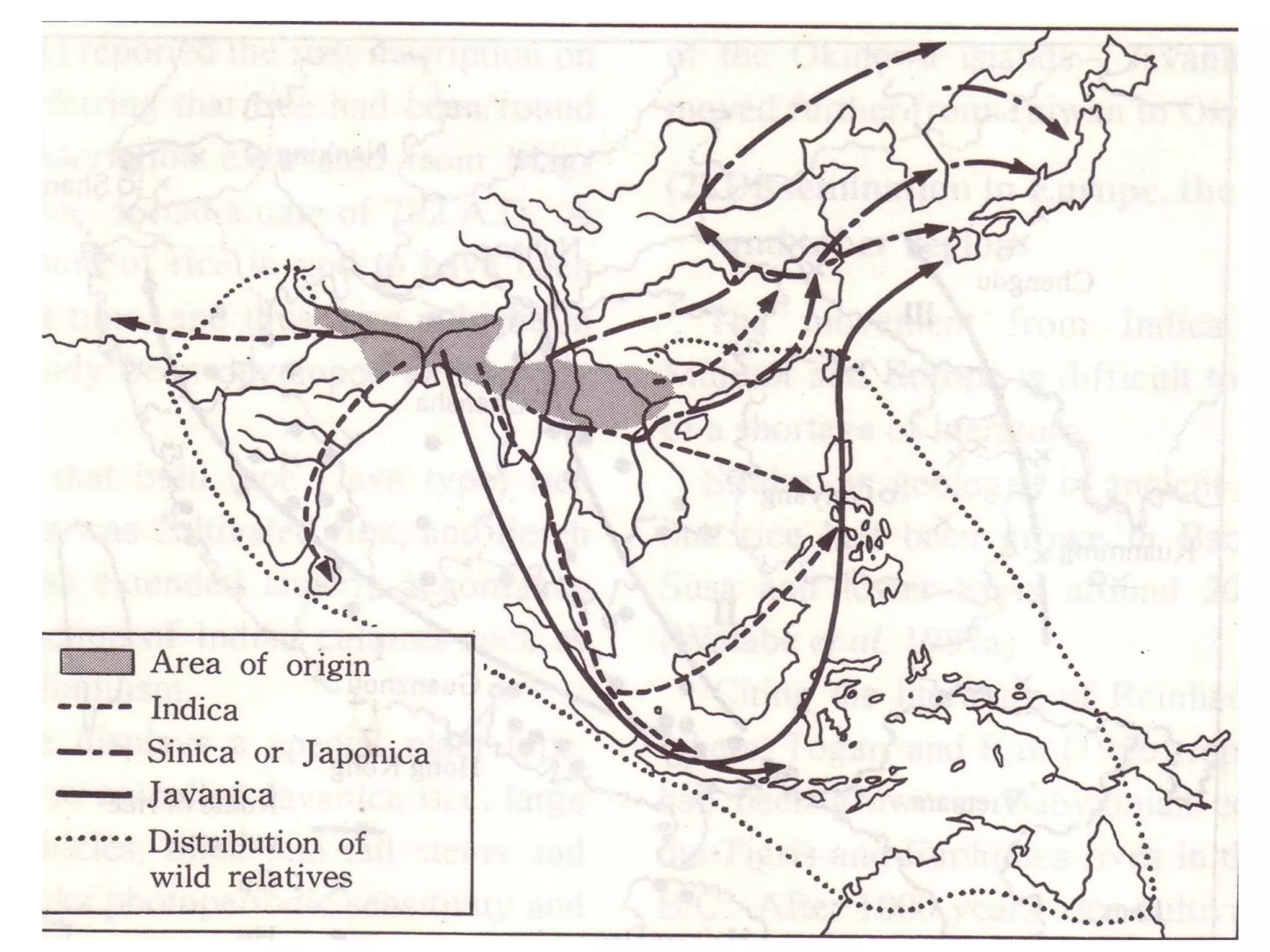1 Origin of Rice in the world | PPT
