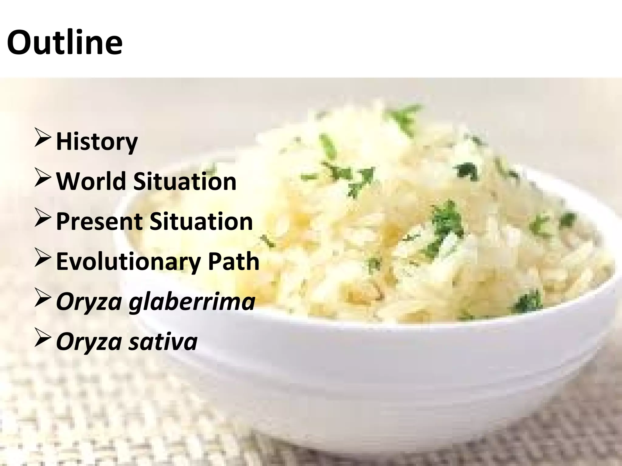 1 Origin of Rice in the world | PPT