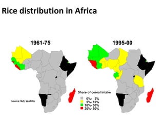 1 Origin of Rice in the world | PPT
