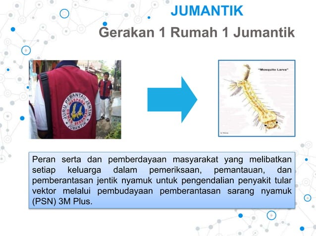 1-Rumah-1-Jumantik-pptx.pptx