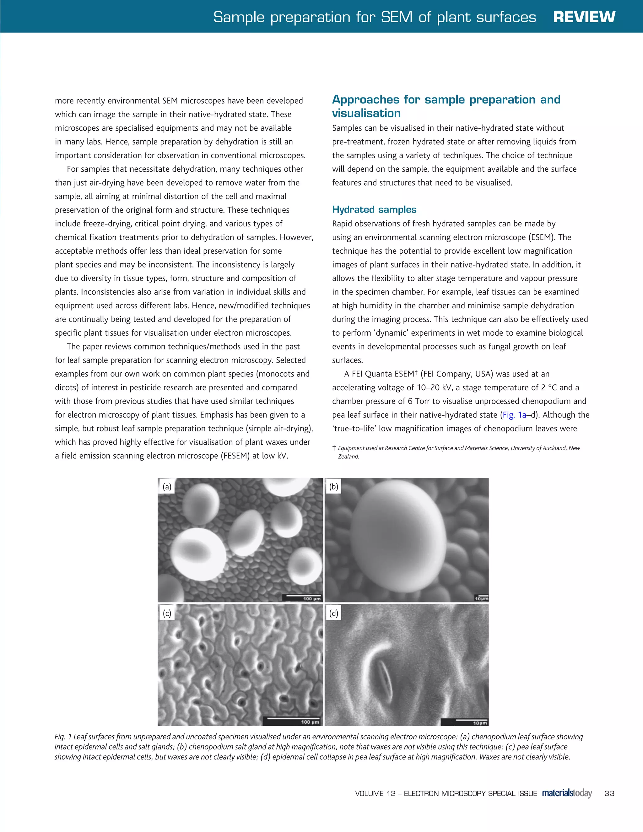 sample preparation of sem for plant smaples | PDF