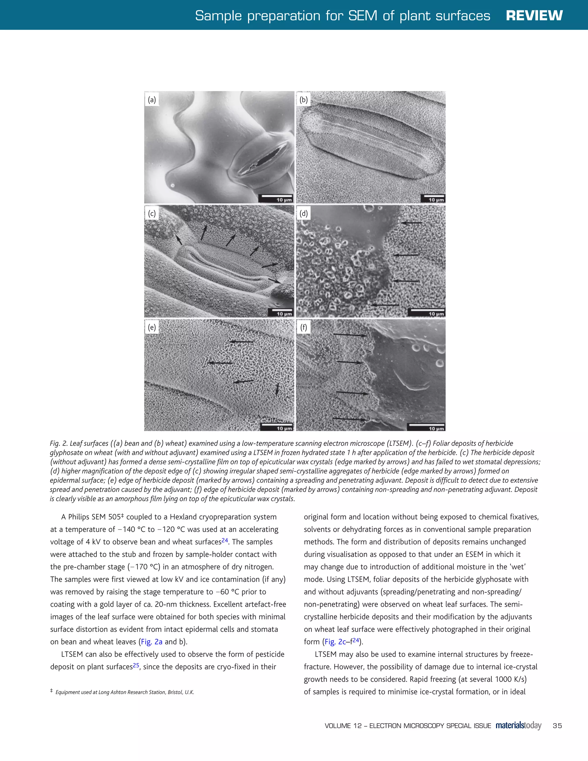 sample preparation of sem for plant smaples | PDF